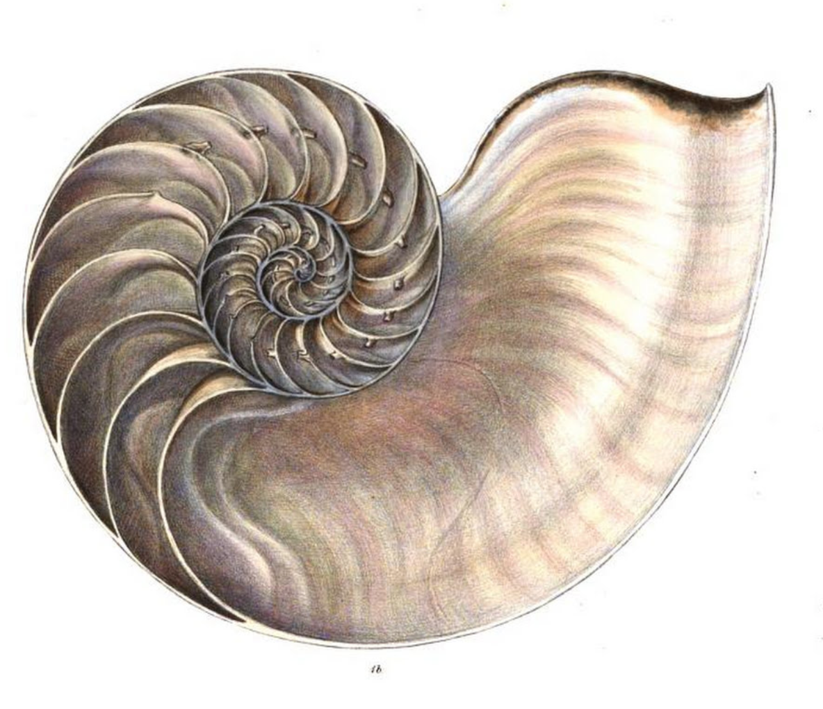 The Power of Recursion: Inger Christensen & Alexander Theroux | Left ...